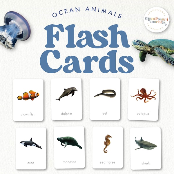Animal Flash Cards - Etsy