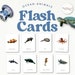 WOODLAND ANIMALS Flash Cards | Montessori Inspired Printable Resources ...