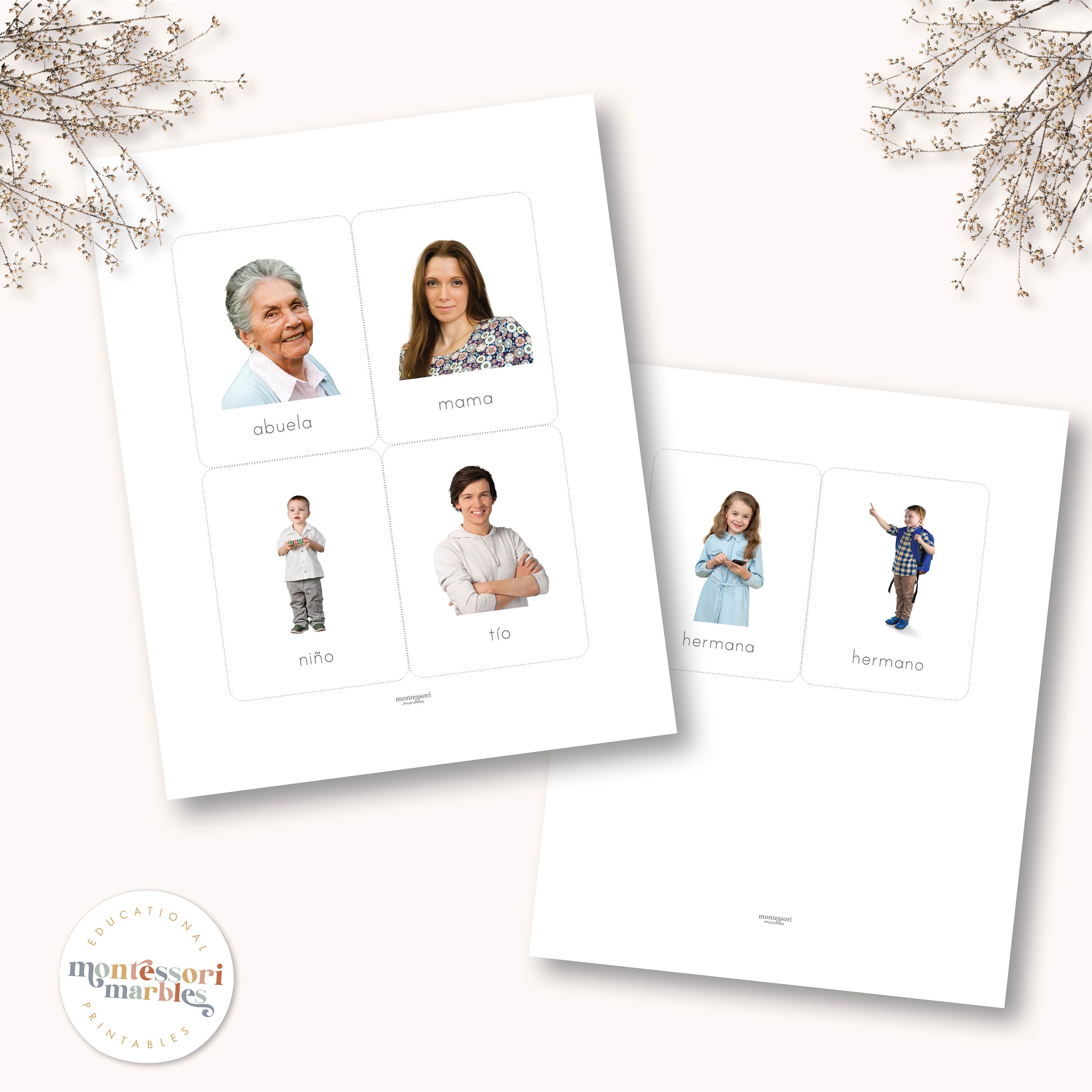 La Familia Tarjetas Didácticas | Spanish Family Flash Cards ...