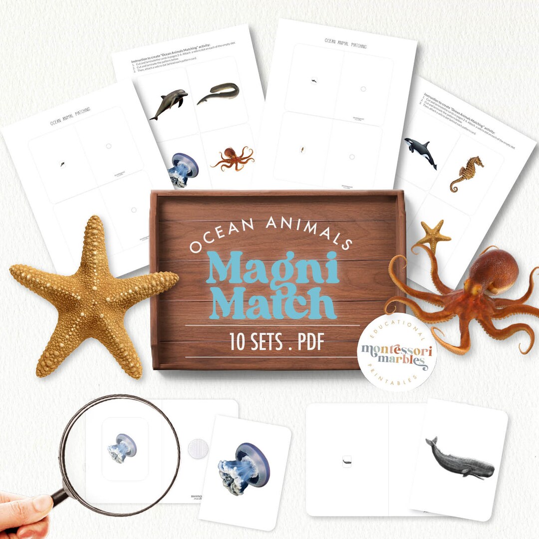 OCEAN ANIMALS Magni-match | Montessori Inspired Printable | Using ...