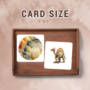 DINOSAUR Pattern Matching Puzzle Activity | Montessori Inspired Visual ...