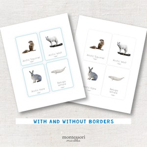 POLAR ANIMALS Flash Card Montessori Arctic Animals Winter | Etsy