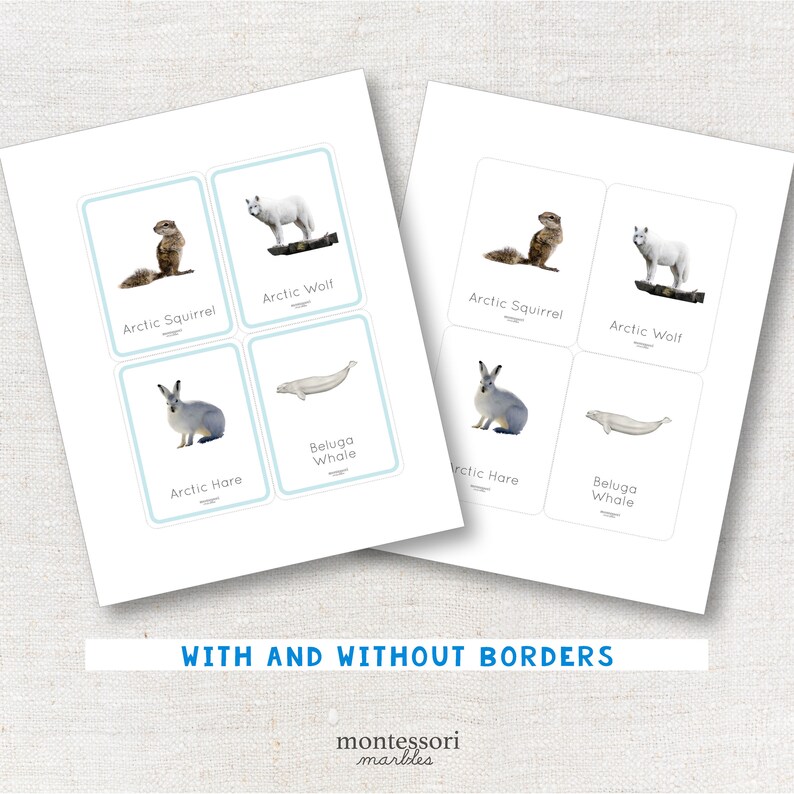 POLAR ANIMALS Flash Card Montessori Arctic Animals Winter | Etsy
