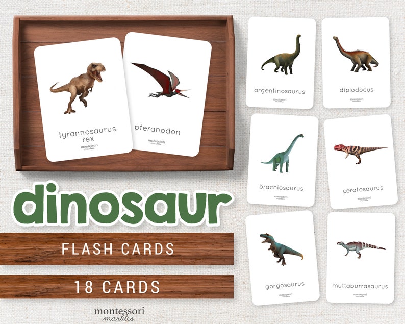DINOSAURS Flash Cards 18 Flashcards Montessori Inspired | Etsy