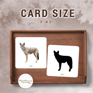 WOODLAND ANIMALS Shadow Matching | Montessori Inspired Silhouette ...