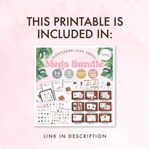 MONTESSORI PINK SERIES Craft Stick Puzzles | 60 Cvc Words for Early ...