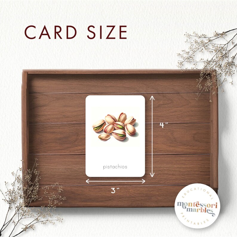 Types of Nuts Nomenclature Cards | 3-part Matching Cards Printable ...