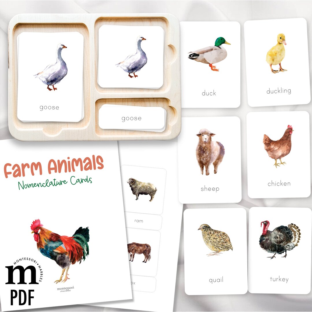 FARM ANIMALS Montessori Nomenclature Cards Montessori - Etsy