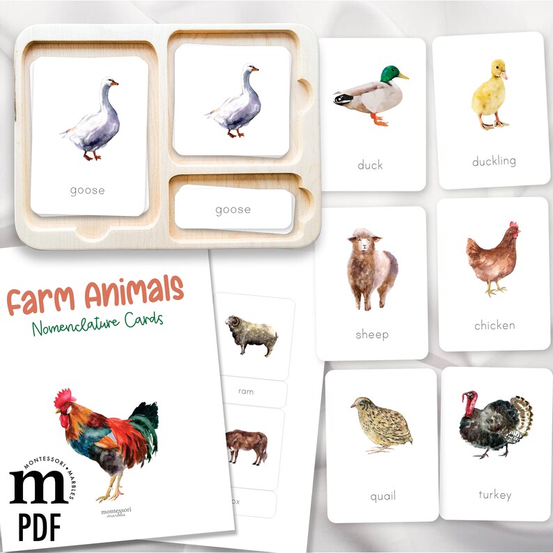 FARM ANIMALS Montessori Nomenclature Cards Montessori - Etsy