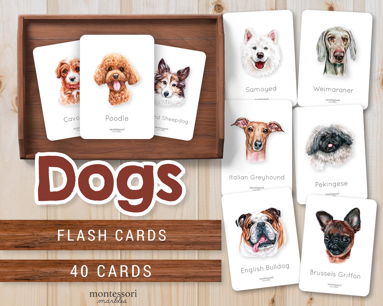 DOGS Flash Cards Types of Dogs Dog Breeds Baby Flash Cards - Etsy