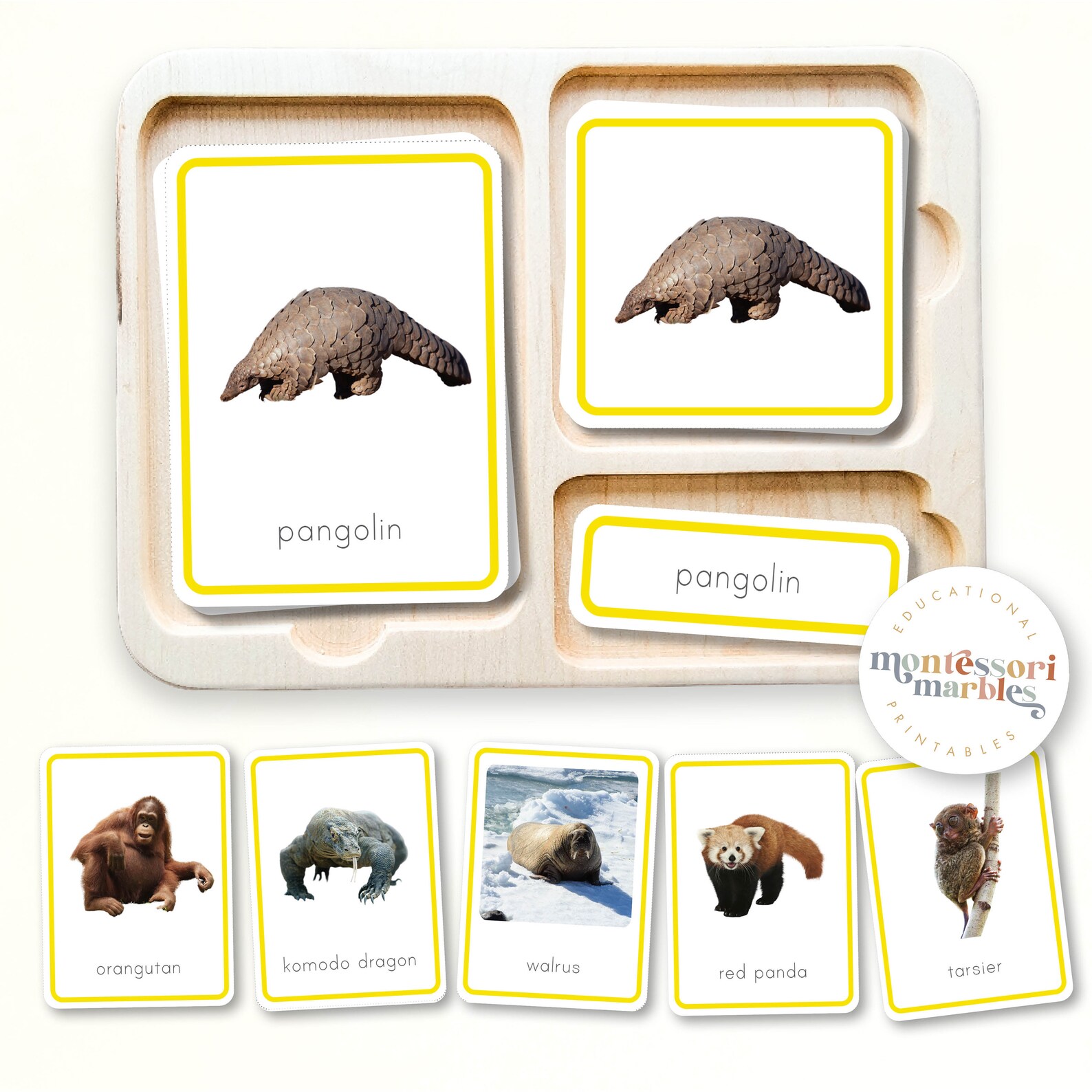 ANIMALS OF ASIA Montessori Nomenclature Cards Nature-based Learning for ...