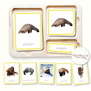 ANIMALS OF ASIA Montessori Nomenclature Cards | Nature-based Learning ...