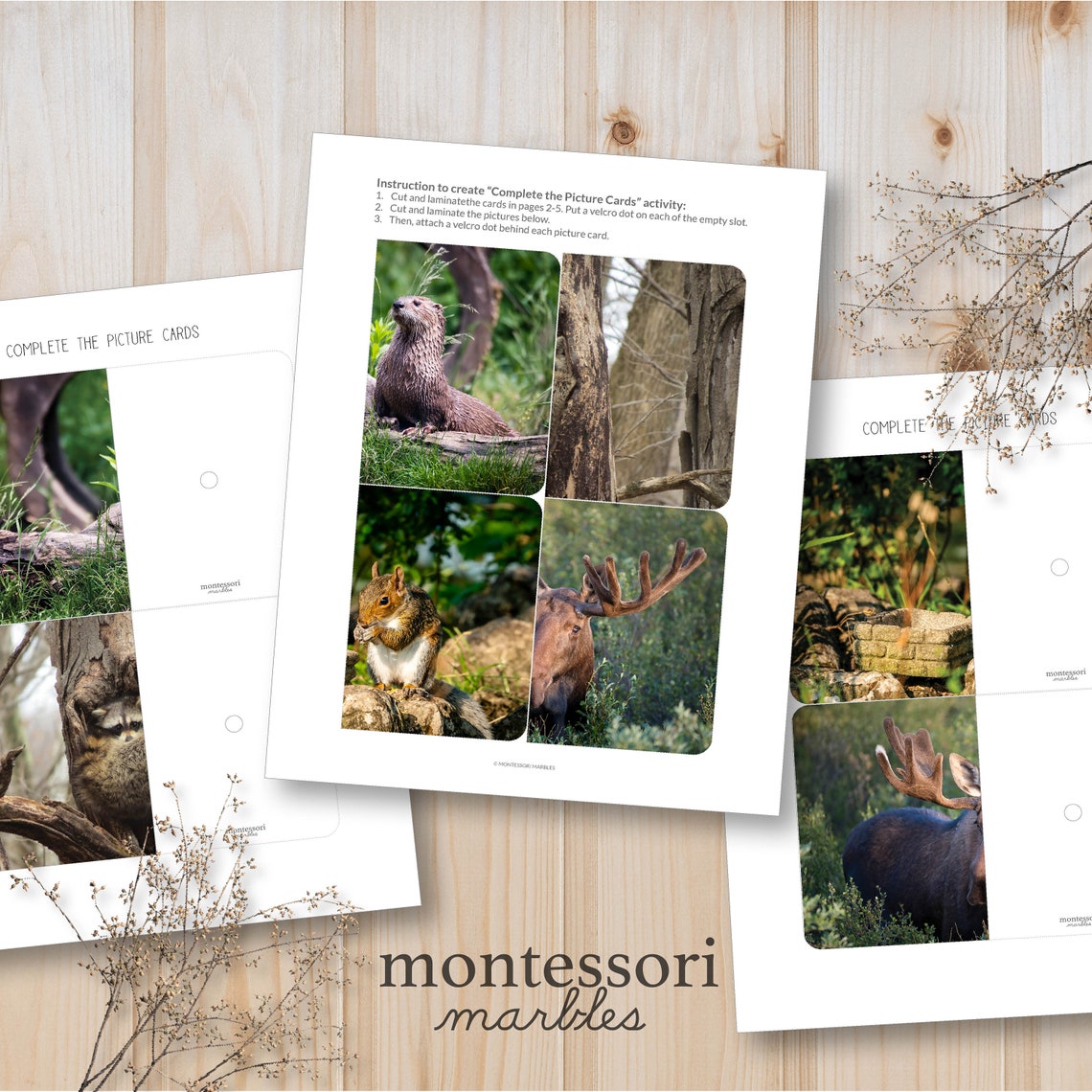 WOODLAND ANIMALS Montessori Picture Matching Activity | Etsy