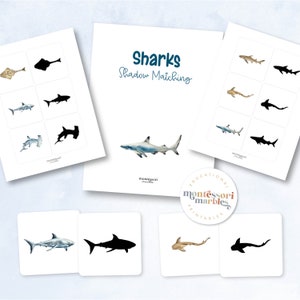 SHARKS Mini Bundle Unit Study | Montessori Inspired Sharks Week ...