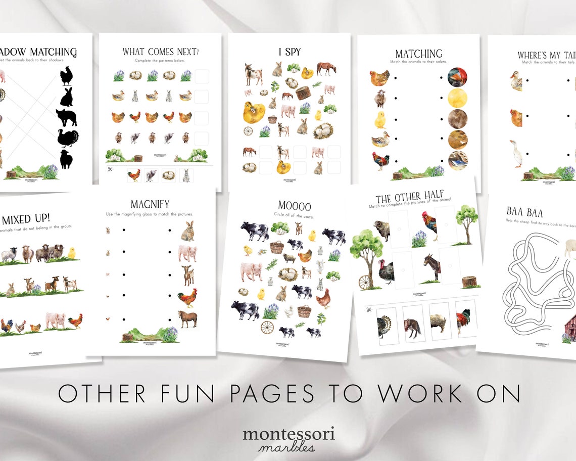 BUNDLE FARM ANIMALS Activity Workbook and Flash Cards - Etsy