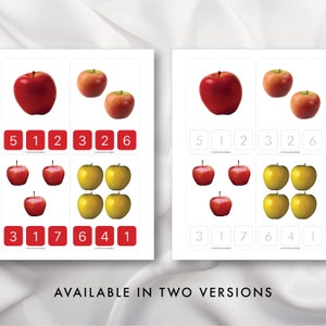 APPLES Counting 1 to 20 Flash Cards, Kindergarten Math, Learn to Count ...