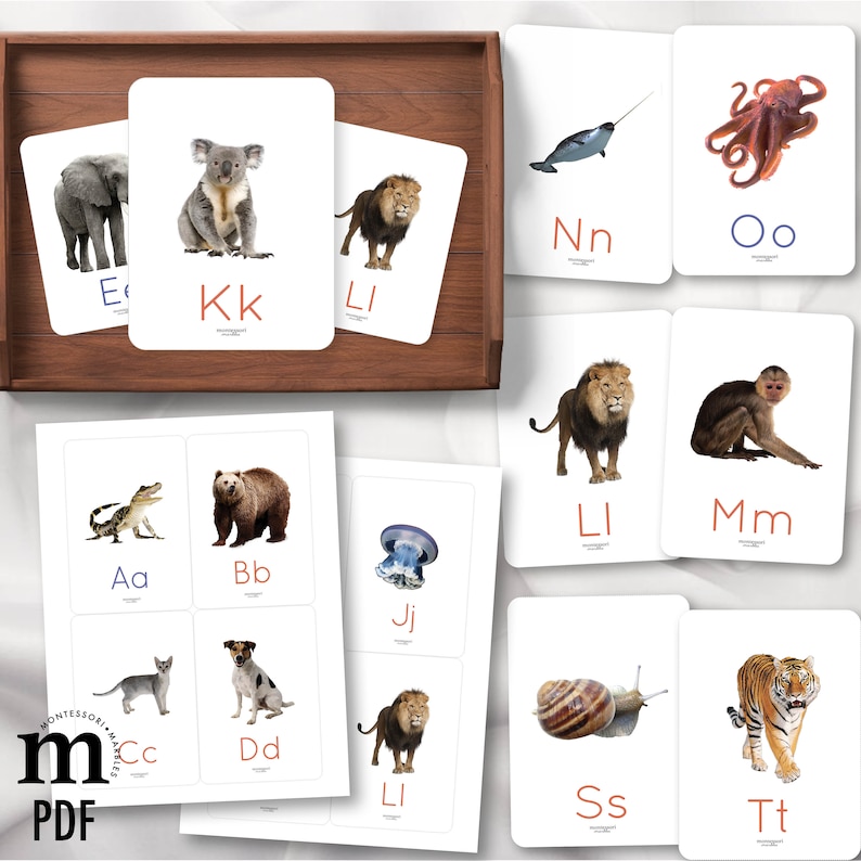 BEGINNING SOUNDS Flash Card Montessori, Phonics, Vocabulary Builder ...