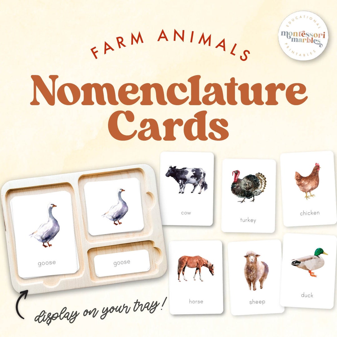 FARM ANIMALS Montessori Nomenclature Cards, Montessori Homeschool Prek ...