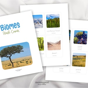 BIOMES Flash Cards Montessori Inspired Cards Social Studies Geography ...