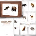 ANIMALES DEL BASQUE, Woodland Animals, Spanish Montessori Flash Cards ...