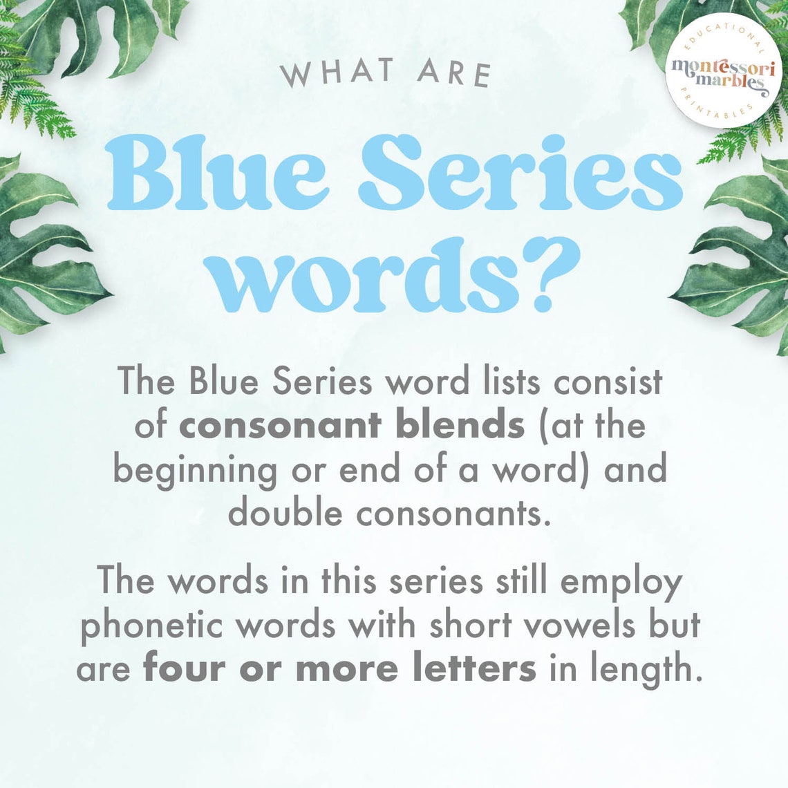 Blue Series Nomenclature Cards | Montessori Language | Consonant Blends ...