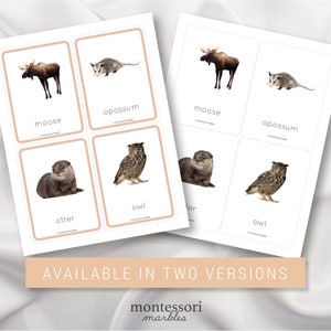 WOODLAND ANIMALS Flash Cards Montessori Inspired Printable - Etsy