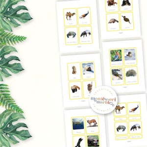 ANIMALS OF ASIA Montessori Nomenclature Cards | Nature-based Learning ...