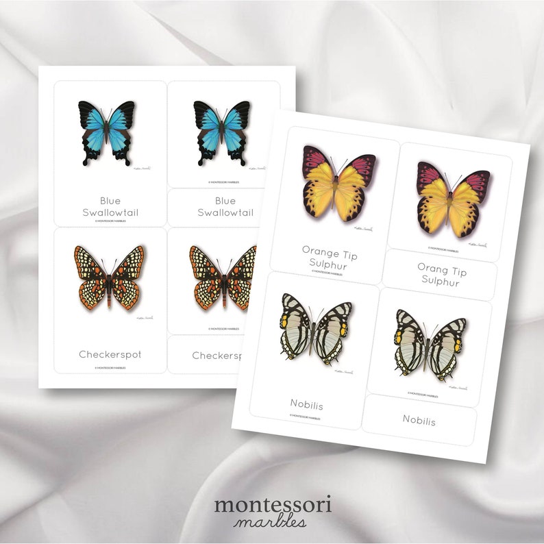 MARIPOSA Tarjetas de nomenclatura Montessori / Tipos de - Etsy México
