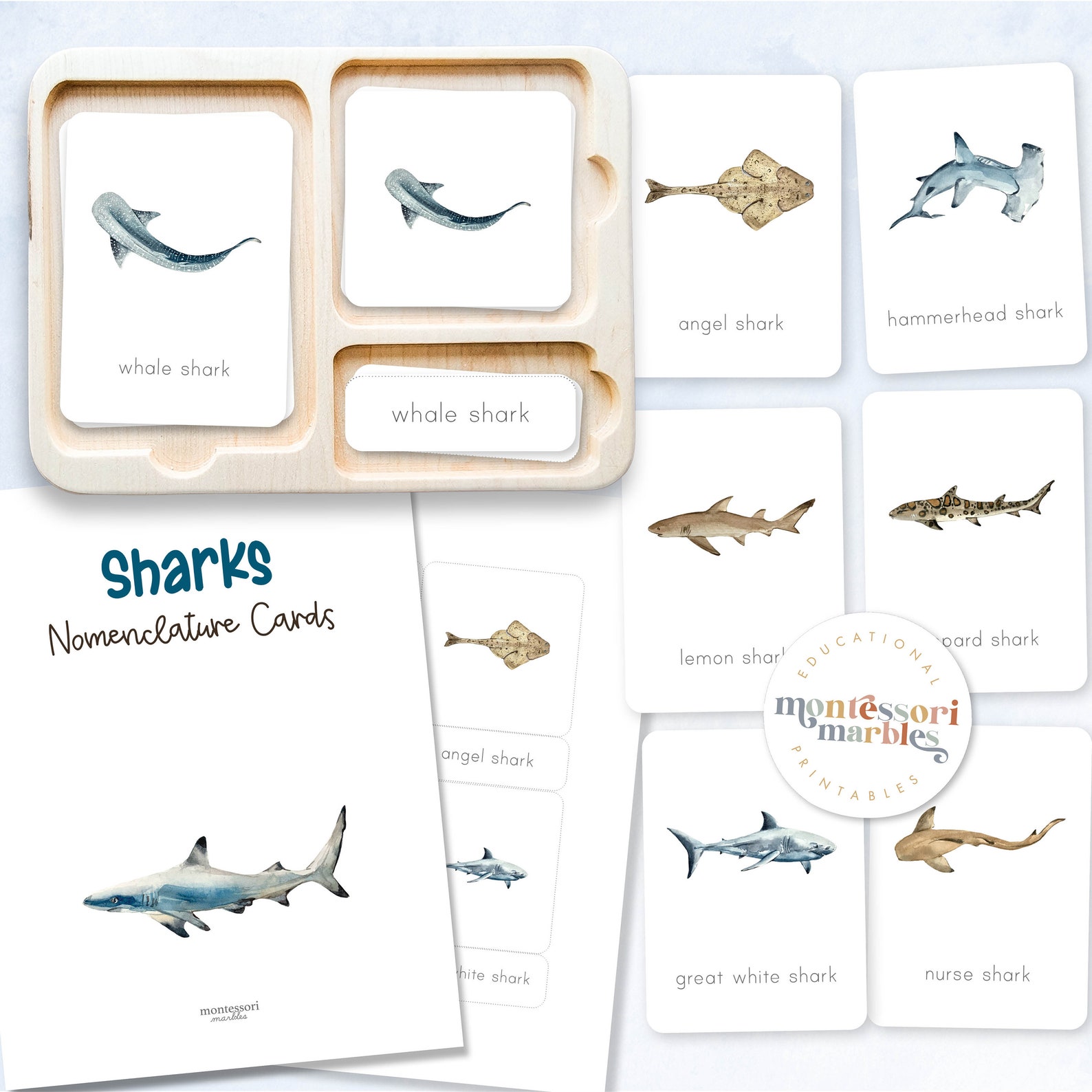 SHARKS Nomenclature Cards Types of Sharks Watercolor Sharks Flash Cards ...