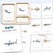 SHARKS Nomenclature Cards Types of Sharks Watercolor Sharks Flash Cards ...