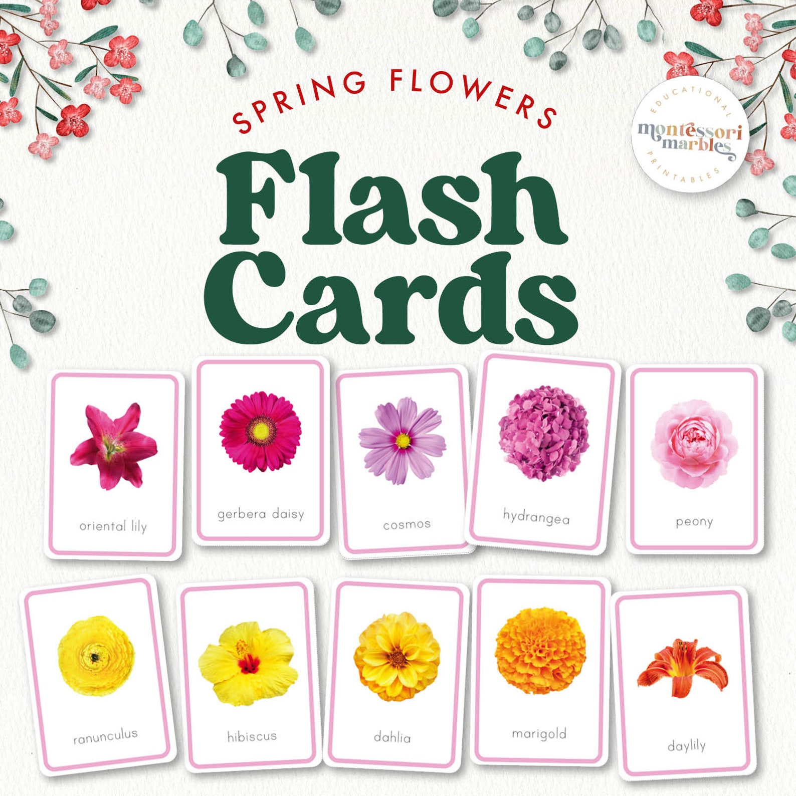 Spring Flowers Flash Cards | Montessori Science | Nature Vocabulary ...