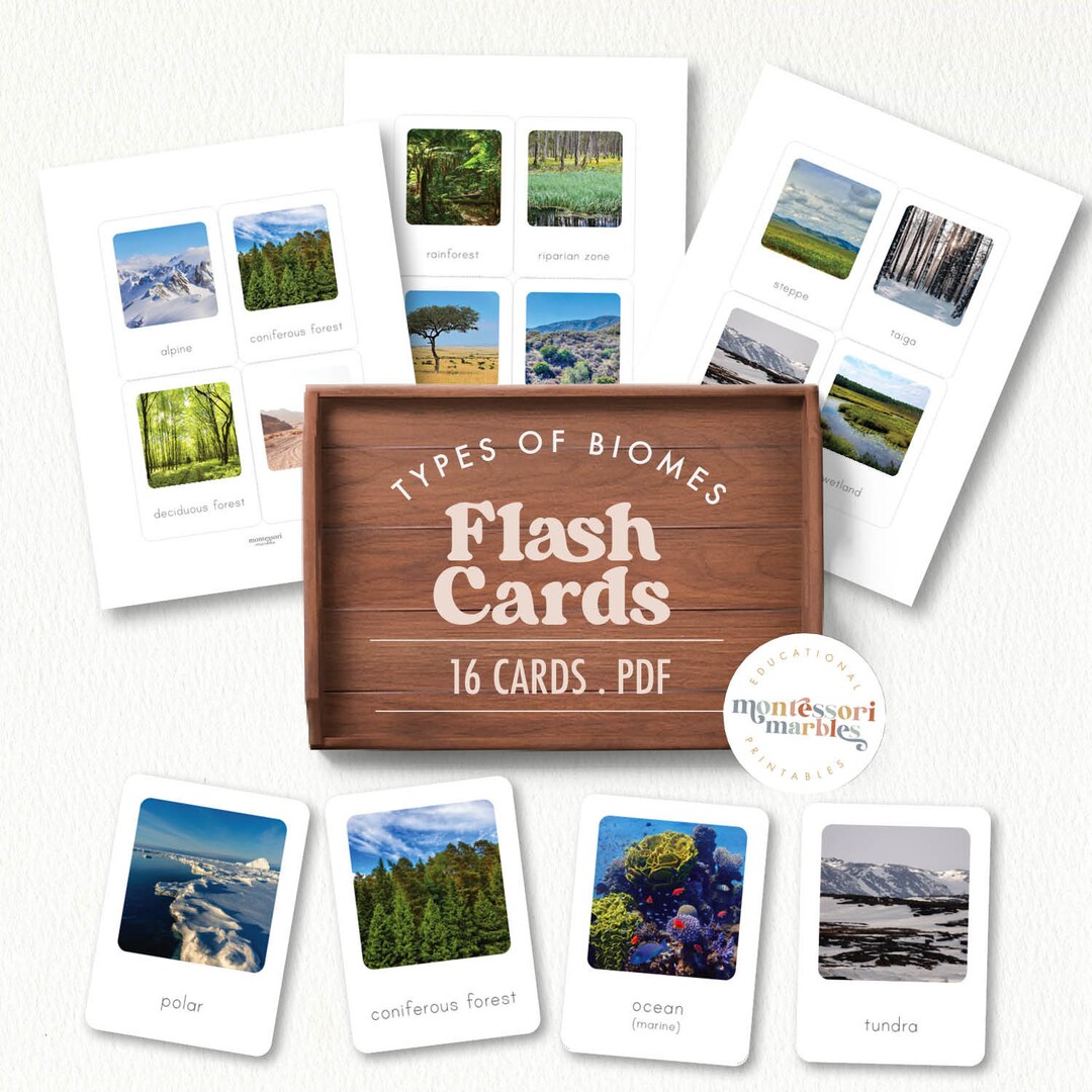 Biomes Geography Flash Cards | Montessori Cultural | Real Photos ...