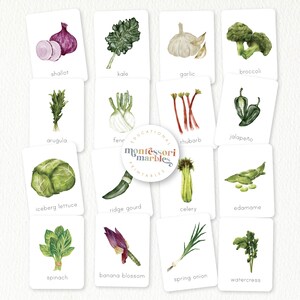 VEGETABLE Flash Cards Montessori Inspired Resources for Preschool ...