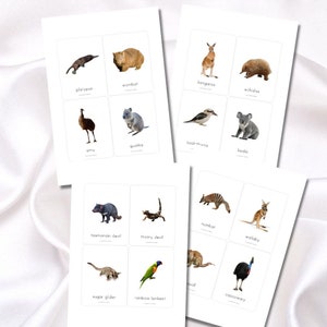 AUSTRALIAN ANIMALS Flash Cards Montessori Inspired Learning Resources ...