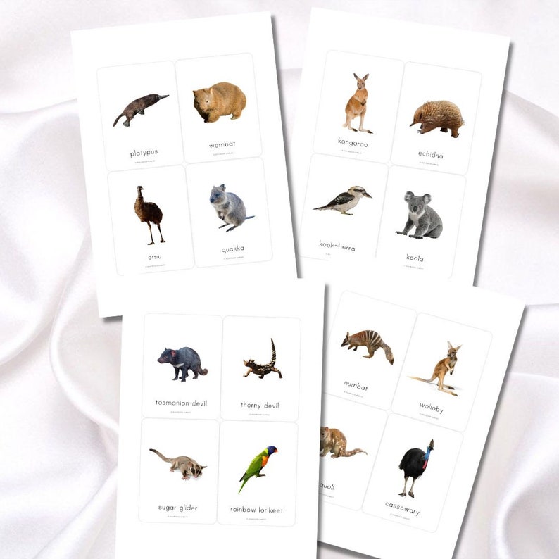 AUSTRALIAN ANIMALS Flash Cards Montessori Inspired Learning - Etsy