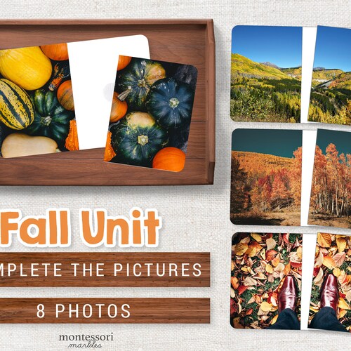 Fall Autumn Shadow Matching Cards Montessori Printable - Etsy