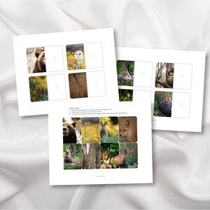 WOODLAND ANIMALS Montessori Picture Matching Activity - Etsy