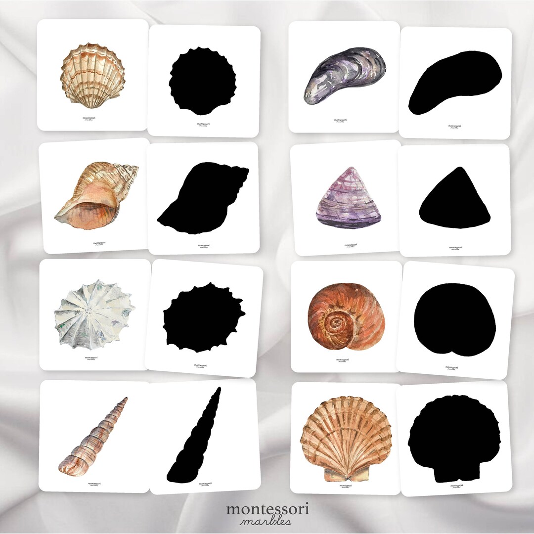 SEASHELLS Shadow Matching Silhouette Matching Montessori Inspired ...