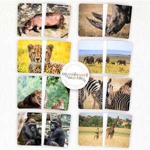 SAFARI ANIMALS Complete the Pictures | Montessori Inspired Visual ...