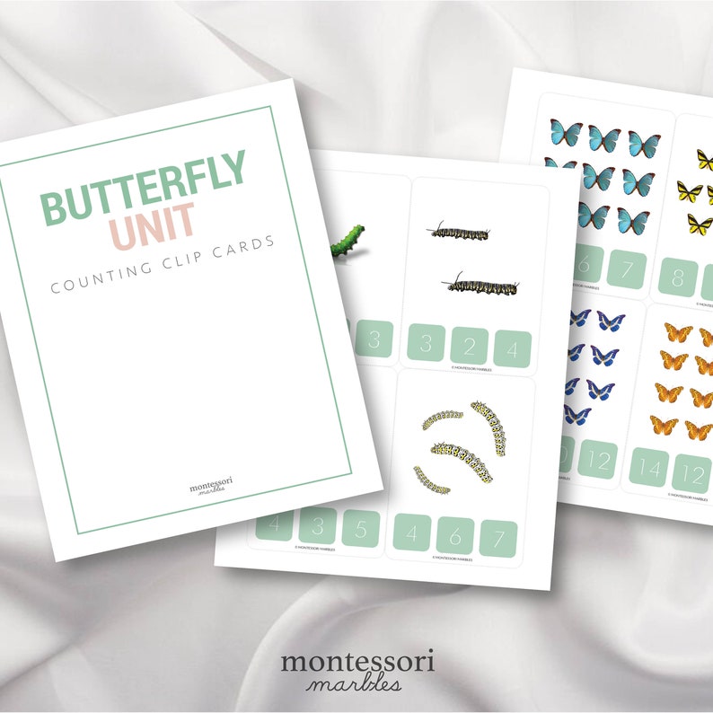BUTTERFLY Counting 1 to 20 Kindergarten Math Learn to Count Montessori ...