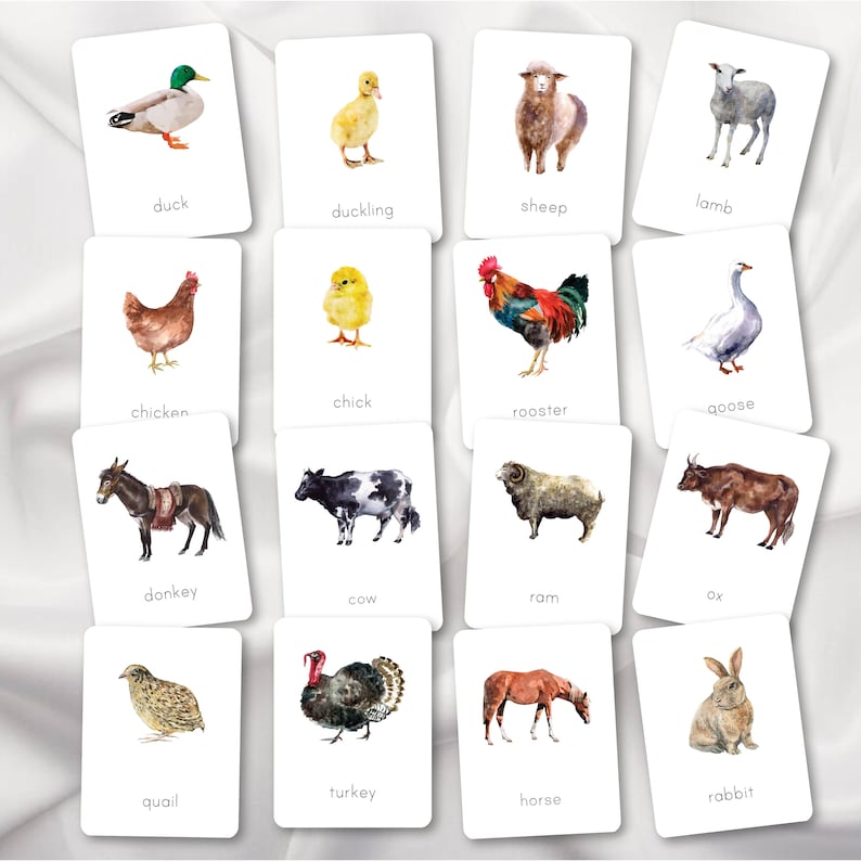 FARM ANIMALS Montessori Nomenclature Cards Montessori - Etsy
