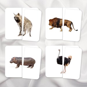 SAFARI ANIMALS Mini Bundle | 4 Sensory and Fine Motor Activities for ...