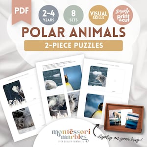 POLAR ANIMALS, Montessori Picture Matching Activity, Toddlers Matching ...