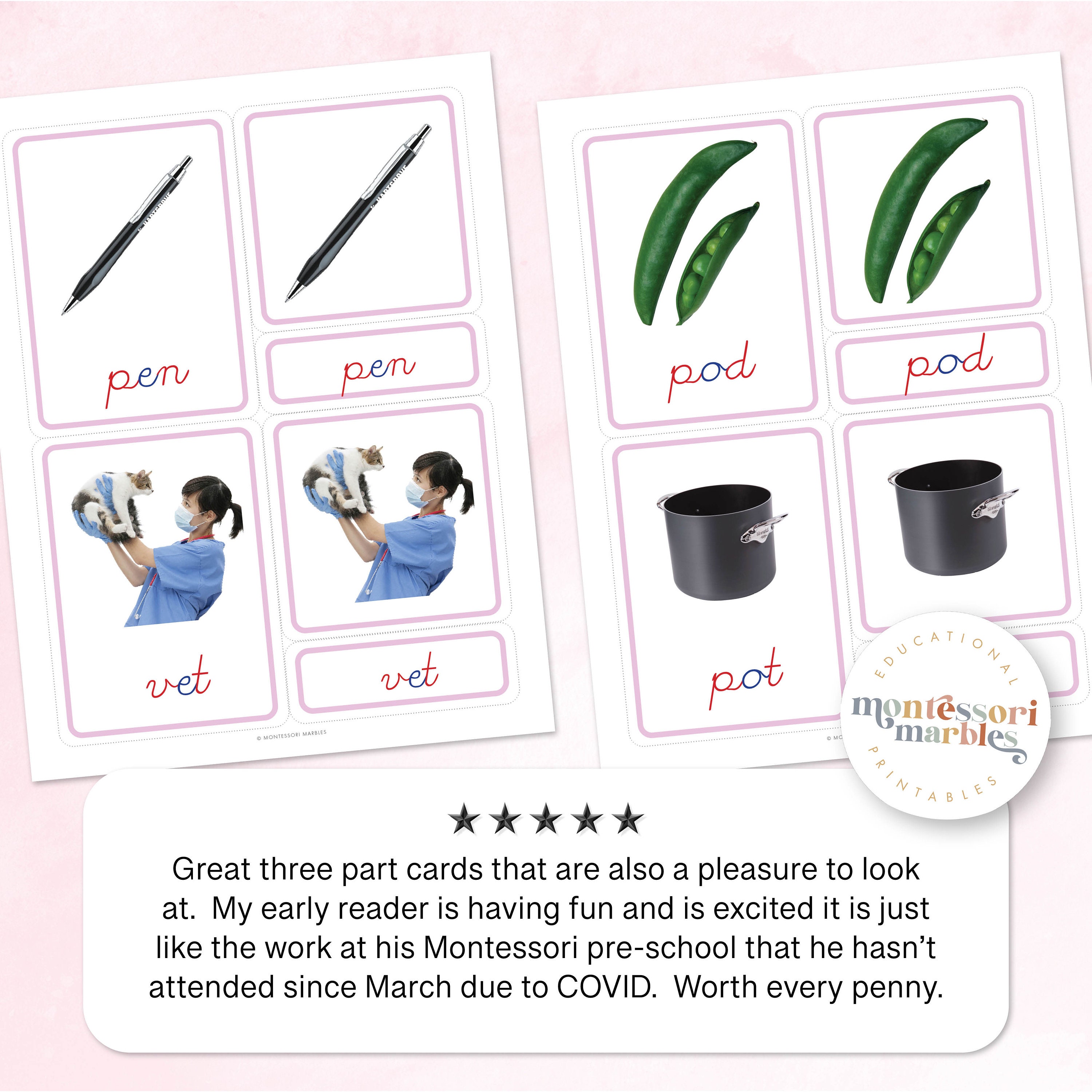 Cursive Pink Series Nomenclature Cards | Montessori CVC Word Reading ...