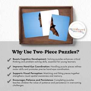 BATS Complete the Pictures Activity | Montessori Inspired Printable for ...