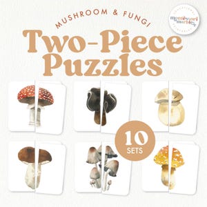 MUSHROOM Flash Cards Montessori Inspired Fall Autumn Vocabulary Builder ...