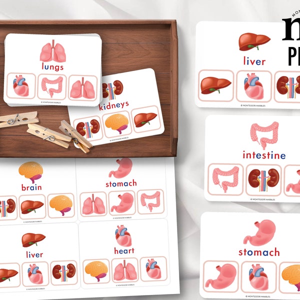 Human Body Puzzle - Etsy