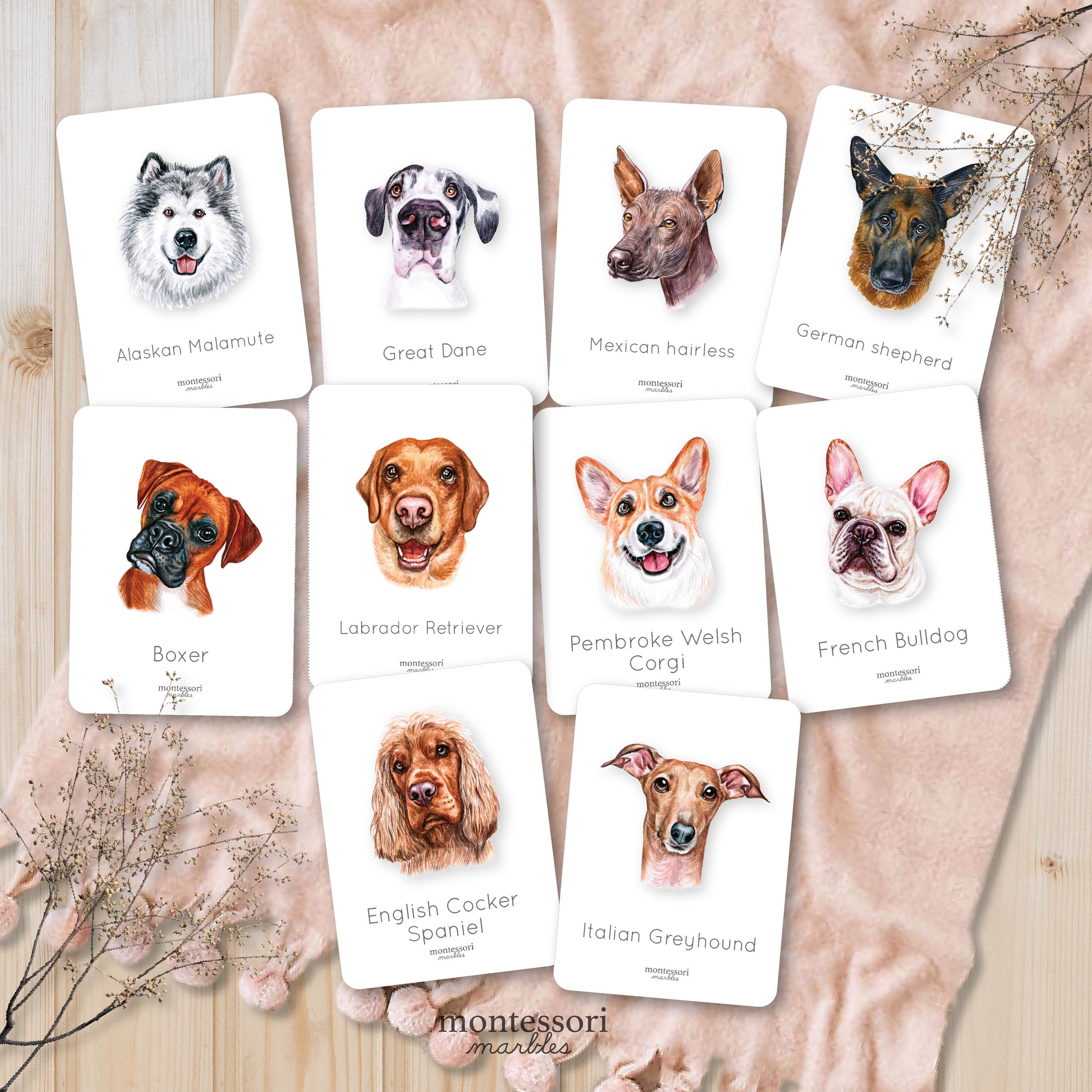 DOGS Flash Cards Types of Dogs Dog Breeds Baby Flash Cards - Etsy UK