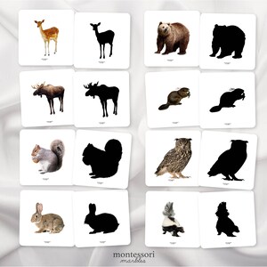 WOODLAND ANIMALS Shadow Matching Montessori Inspired Silhouette ...