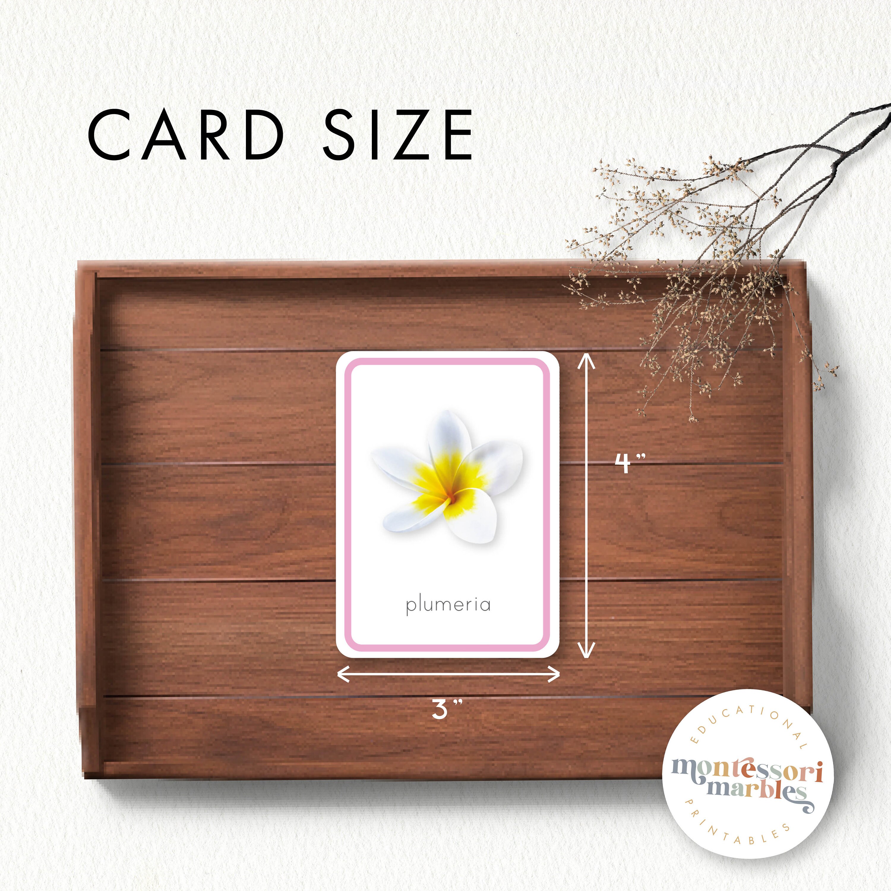 SPRING FLOWERS Flash Cards, Montessori Inspired Printable Vocabulary ...